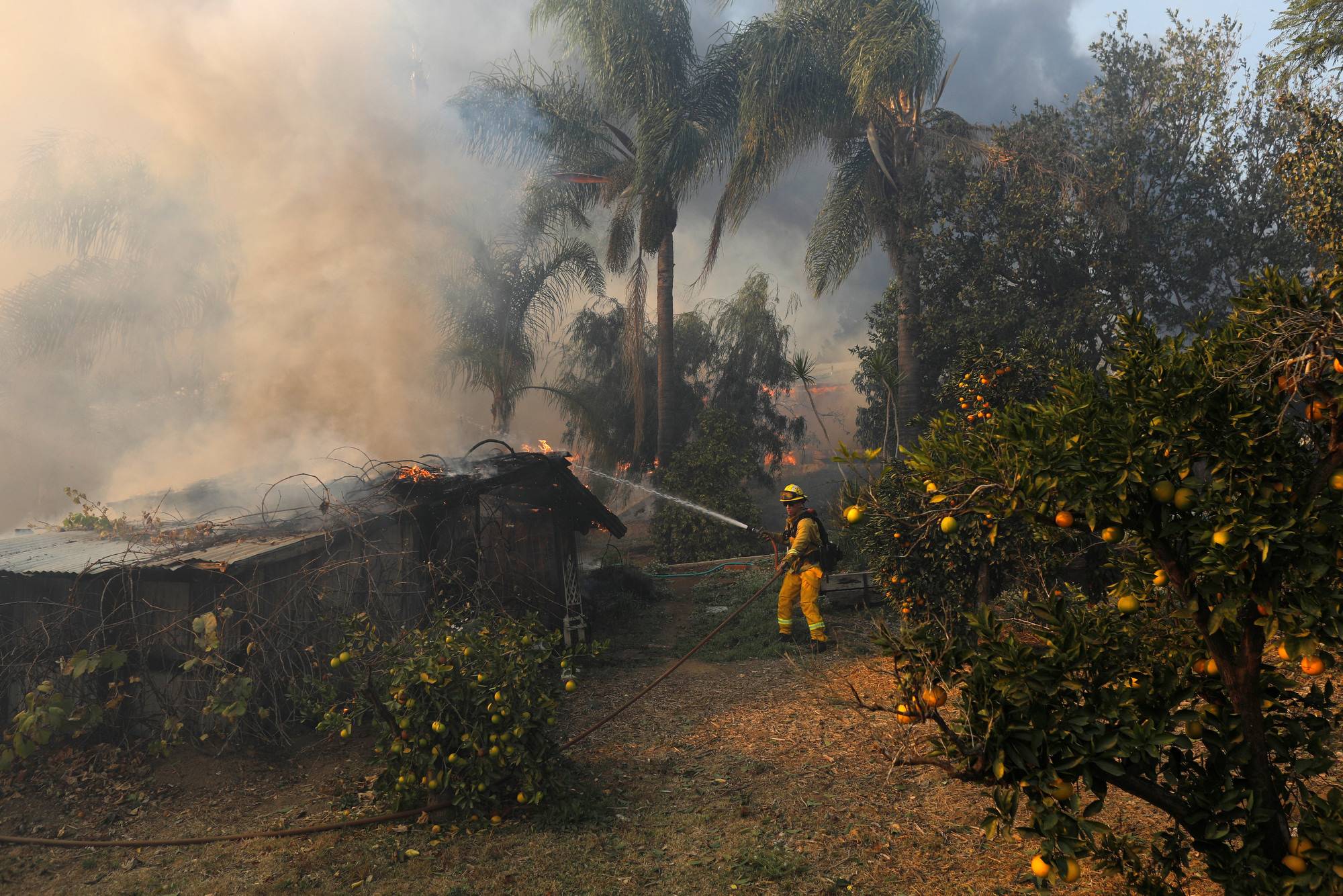 In photos: Wildfires burn out of control in California - The Globe and Mail