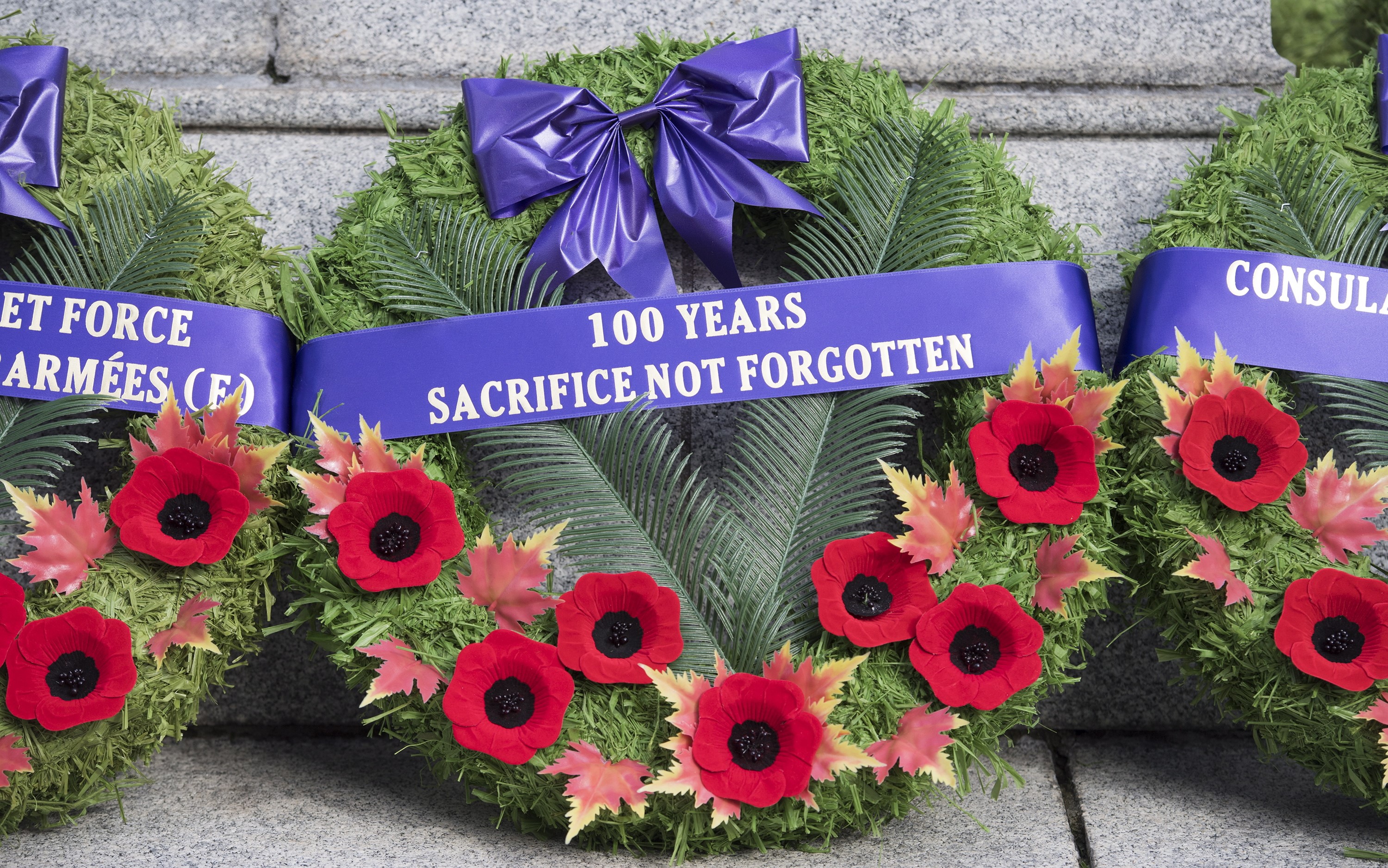 In photos: Remembrance Day ceremonies across Canada - The Globe and Mail