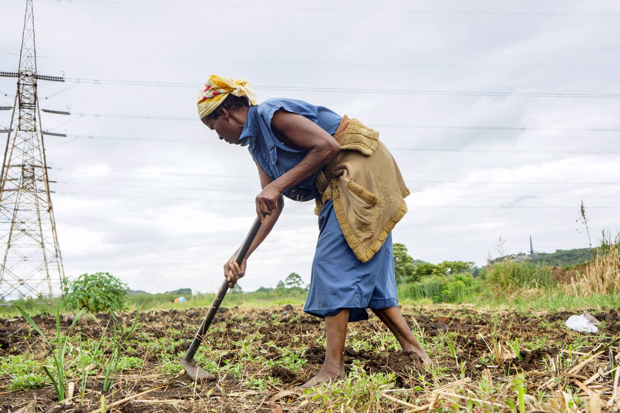 In photos: With Mugabe in custody Zimbabweans enter a new era - The ...
